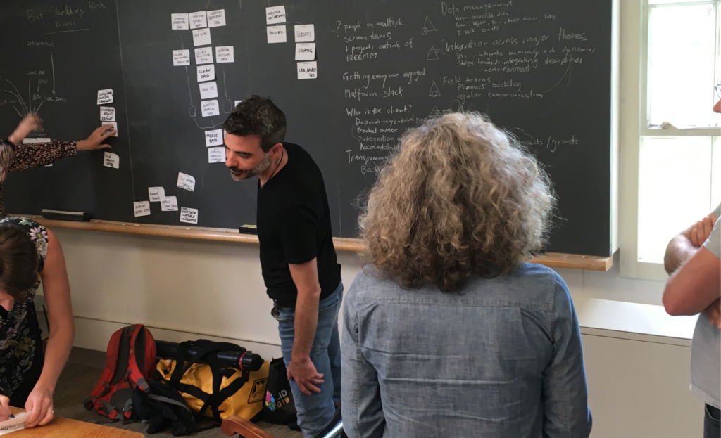 About Us - Elegant Agile | Pat Guariglia